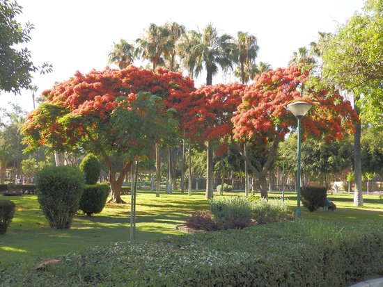 There you go, a handful of Limassol’s must-see attractions and ...